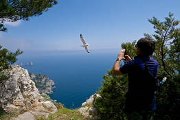 Nature - From Torre della Guardia to Faro - Island of Capri